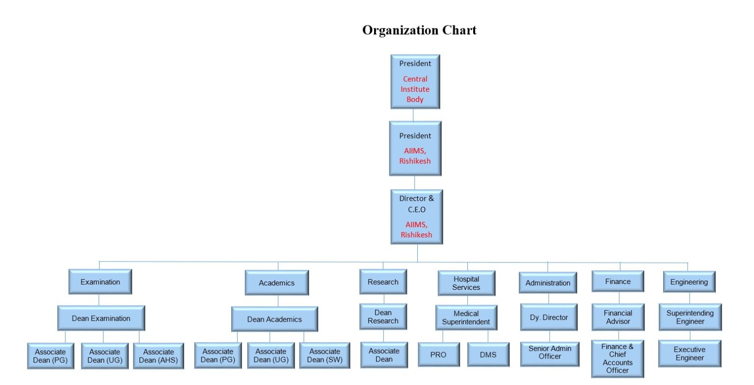 Organizational Structure – AIIMS Rishikesh